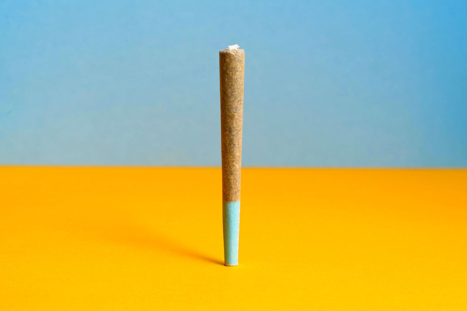 Joints and Blunts - Understanding the Differences